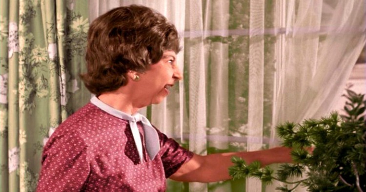 How do you handle a fight with neighbours?