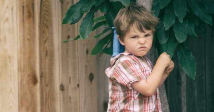 Why kids fighting isn't actually such a bad thing.